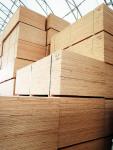 Parallam PSL - Engineered Wood Products